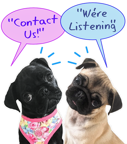 Contact | The Pug Queen