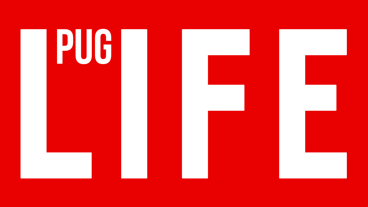 Pug Life Magazine | History of the Pug