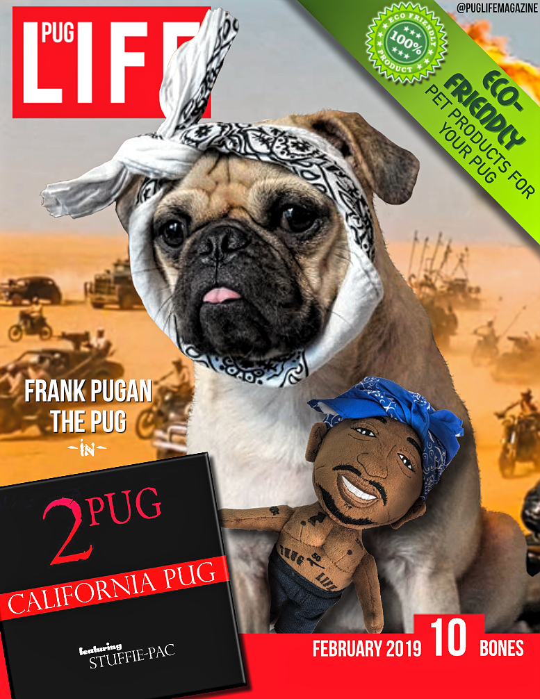 Pug Life Magazine | Pug Blog