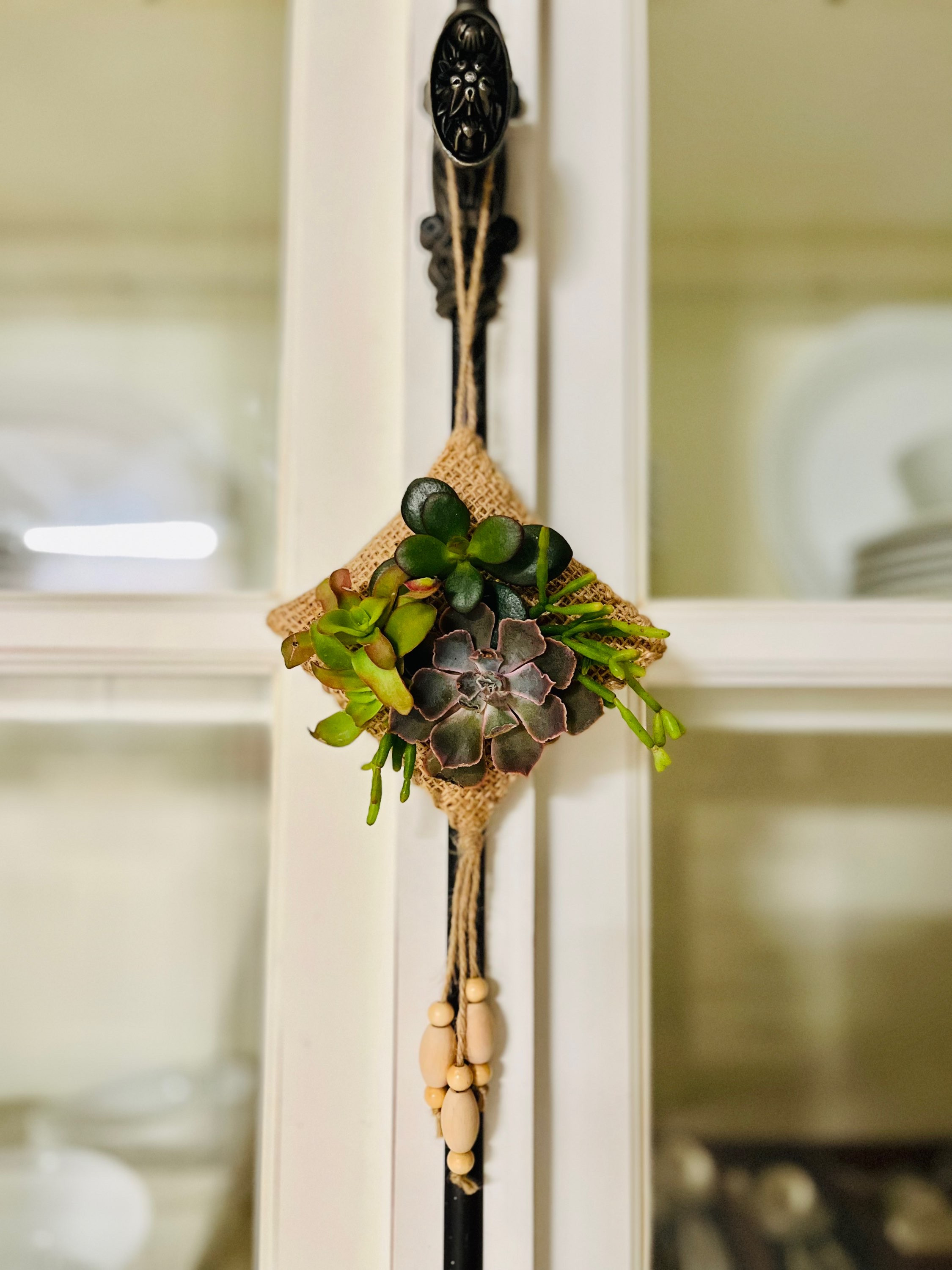 Burlap Succulent Hanger Workshop | Rock City Gardens