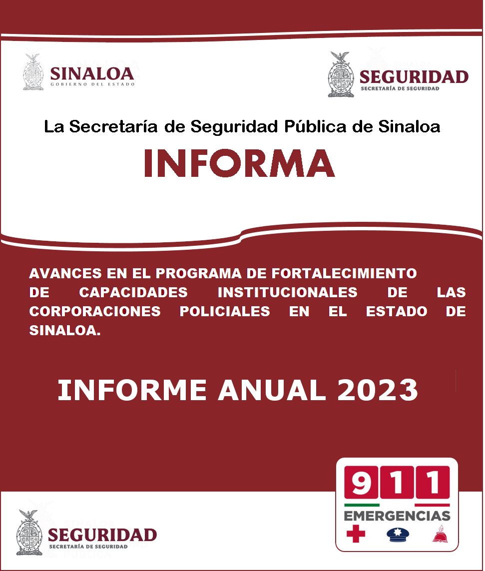 Informe Anual 2023