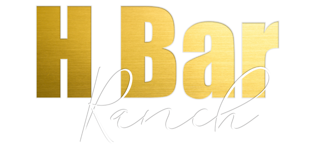 H Bar Ranch | Registered Beefmaster Cattle