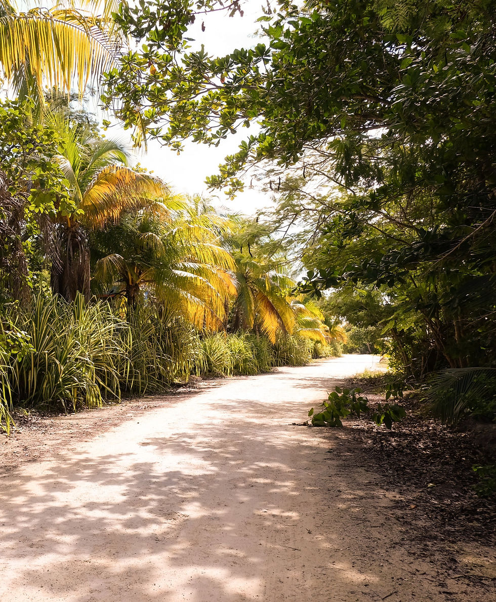 ABOUT US | JSS CONSULTING