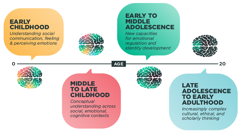 THE BRAIN | SEL Matters