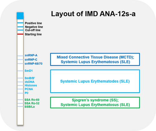 ANA-12s-a (Ready-to-use ImmunoBlot Strips) | ImmunoDiagnostics