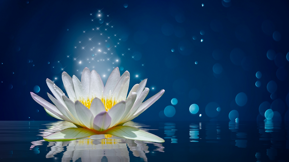 Why the Lotus Flower is the Symbol for Divine Lotus Group