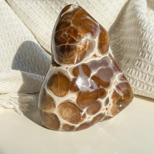 Rare Orbicular Chocolate calcite | NEWMOONCRYSTAL