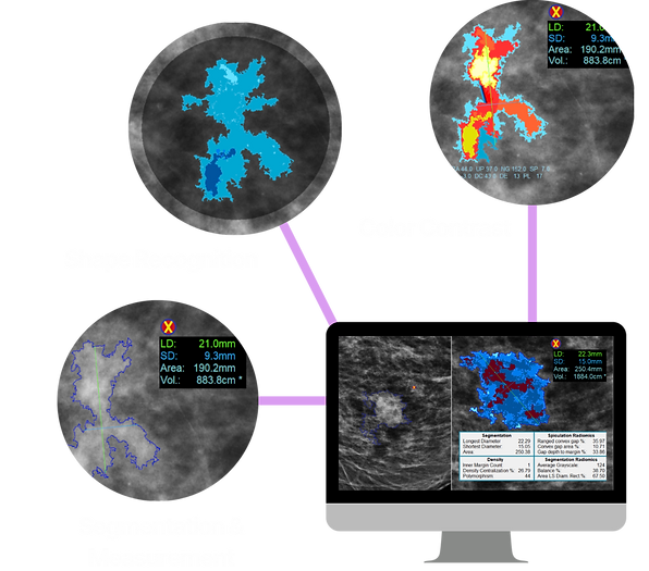 DL Precise | Deeplook Medical