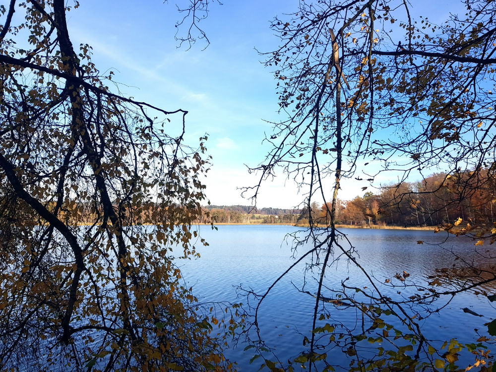 Der Katzensee