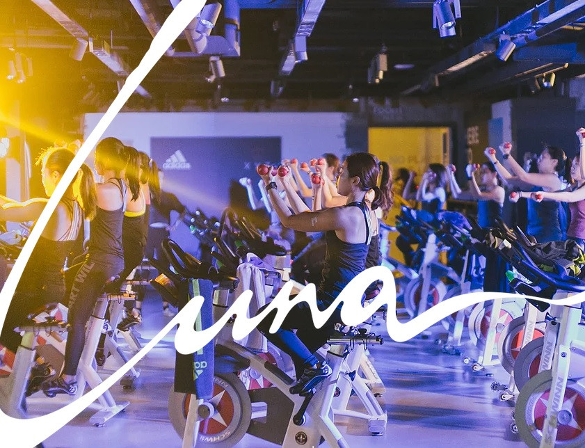 Contact Us | Luna.hk