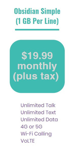 Obsidian Simple Plan | DentMedMarketPlace