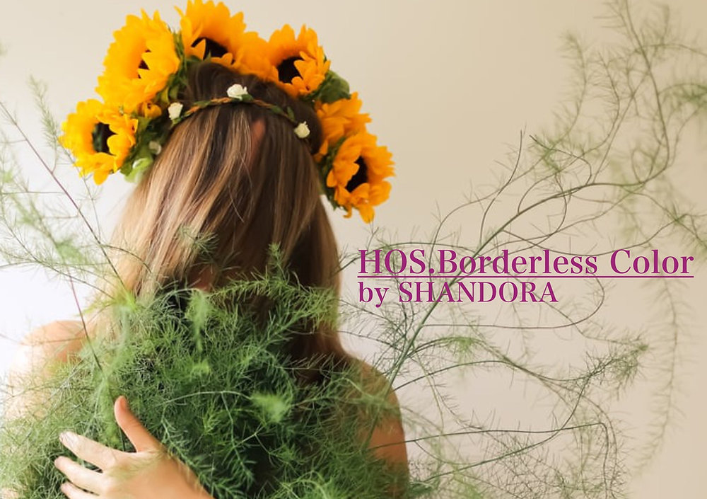 新たなるノンジアミンカラー 【HOS.Borderless Color】