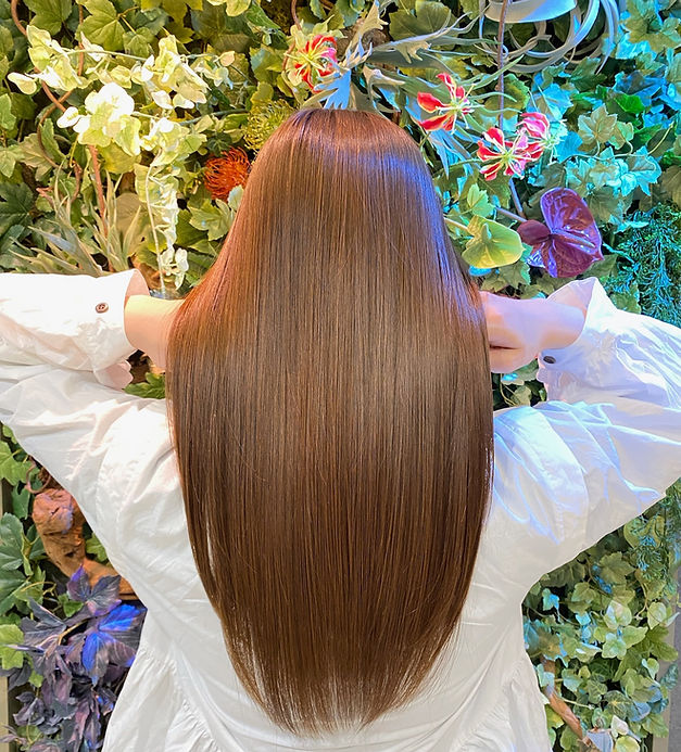 shandora professional【シャンドラプロフェッショナル】