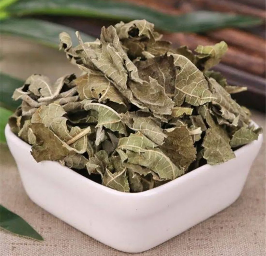Organic dried fig leaves | Eplantica