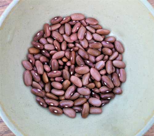 Kaulback's Tavern Bean | Roughwood Seed