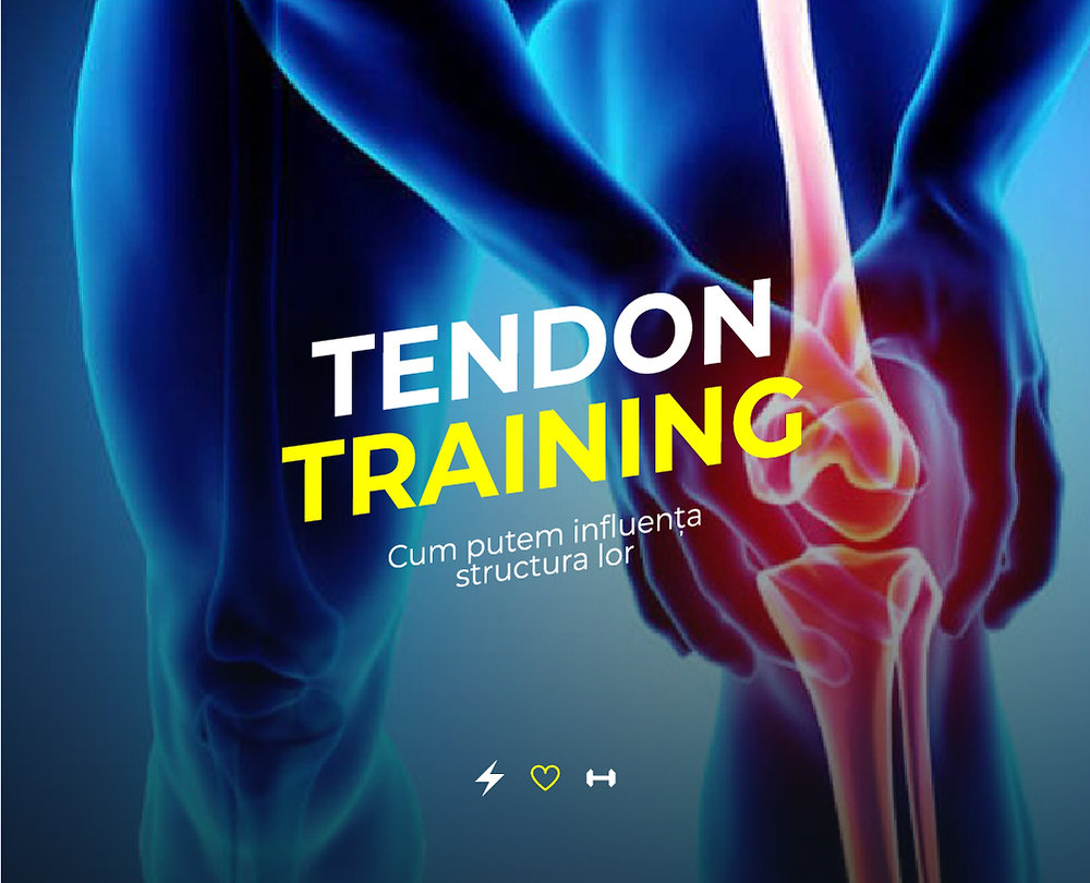 Tendon training - Cum putem influenta structura lor?