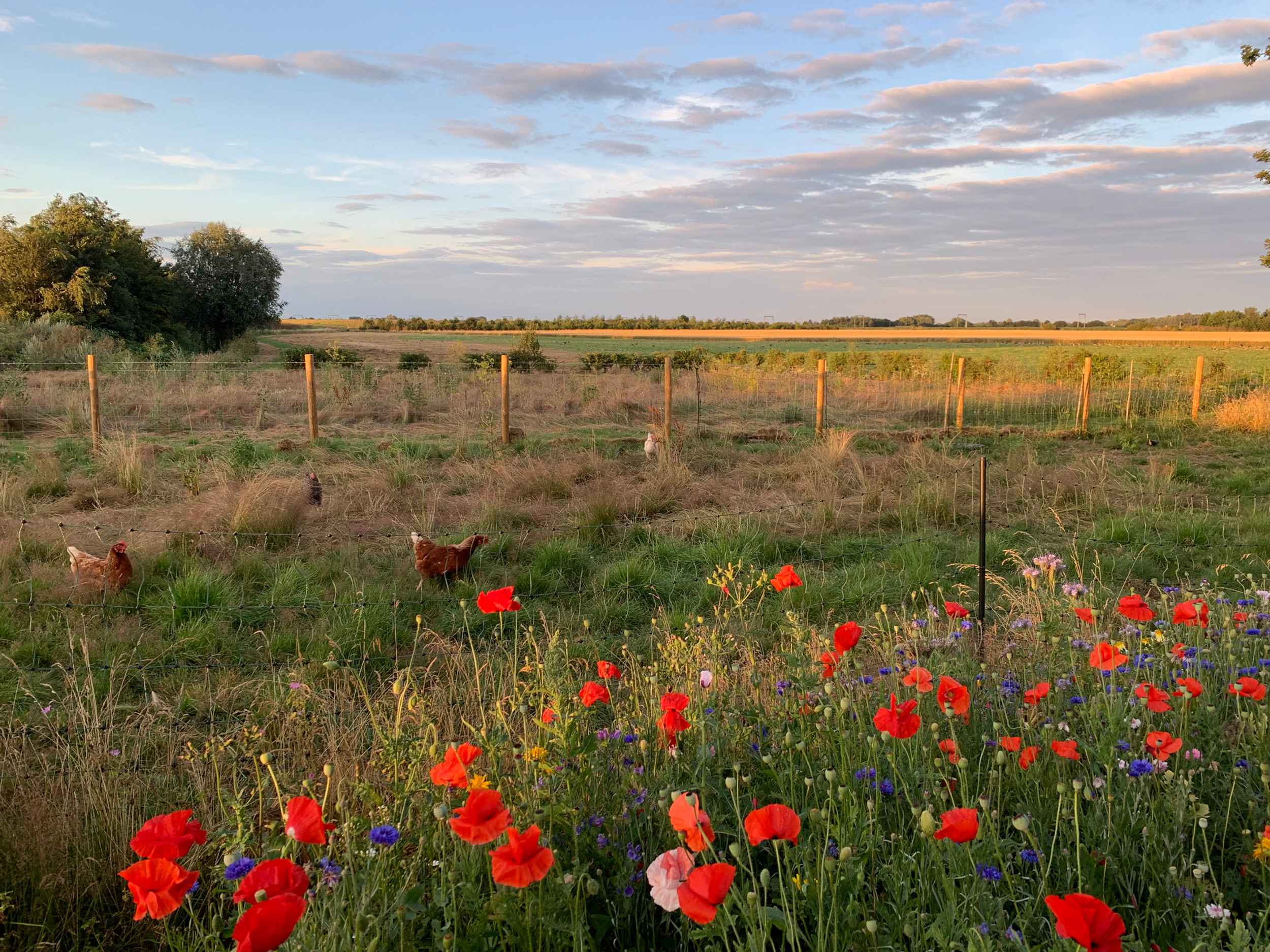 Gravel Hill Farm Cambridge at Arthur Haskell blog
