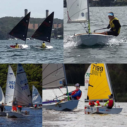 Sabot Race-Spec Mainsail | MC Sails