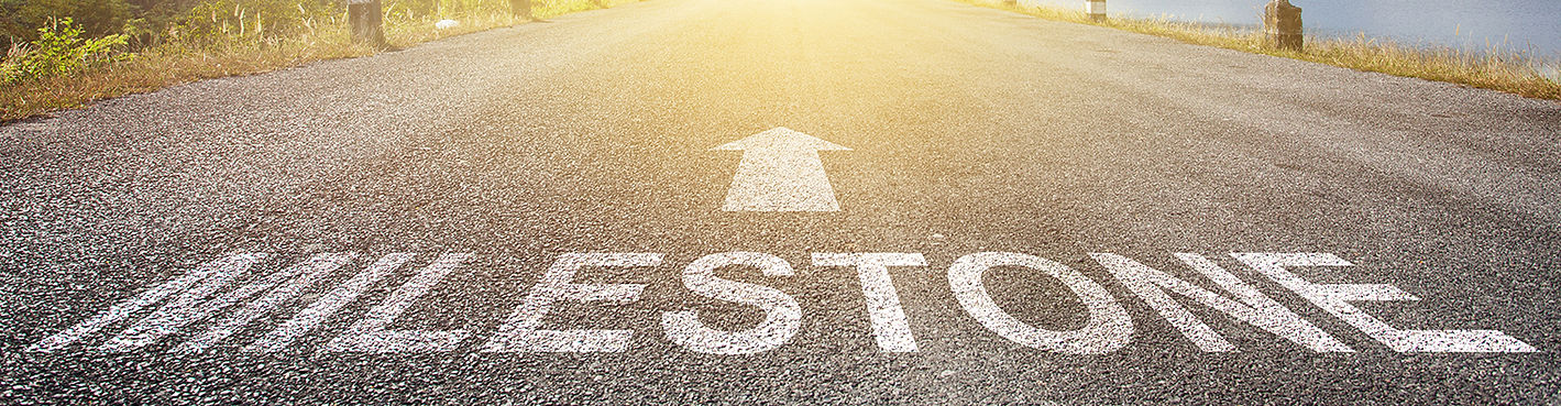 Our Values and Milestones | Senheng