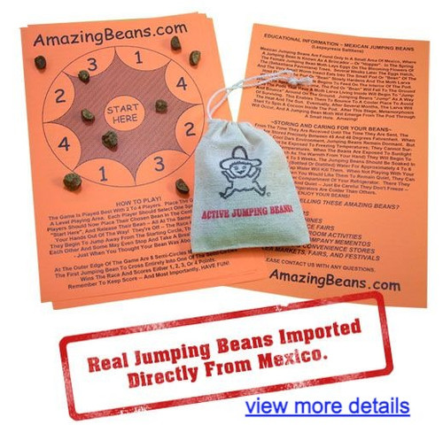 Mexican Jumping Beans for Sale | Sack of 60 Jumping Beans Toy