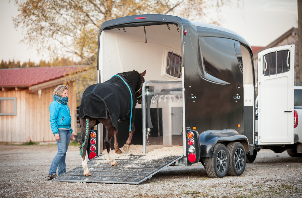 Towing: Are You Hauling Your Horse Safely?