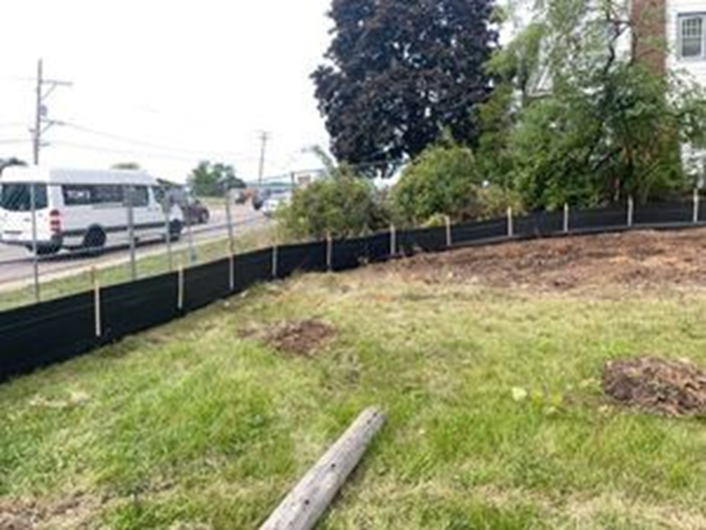 Mango | Construction Progress