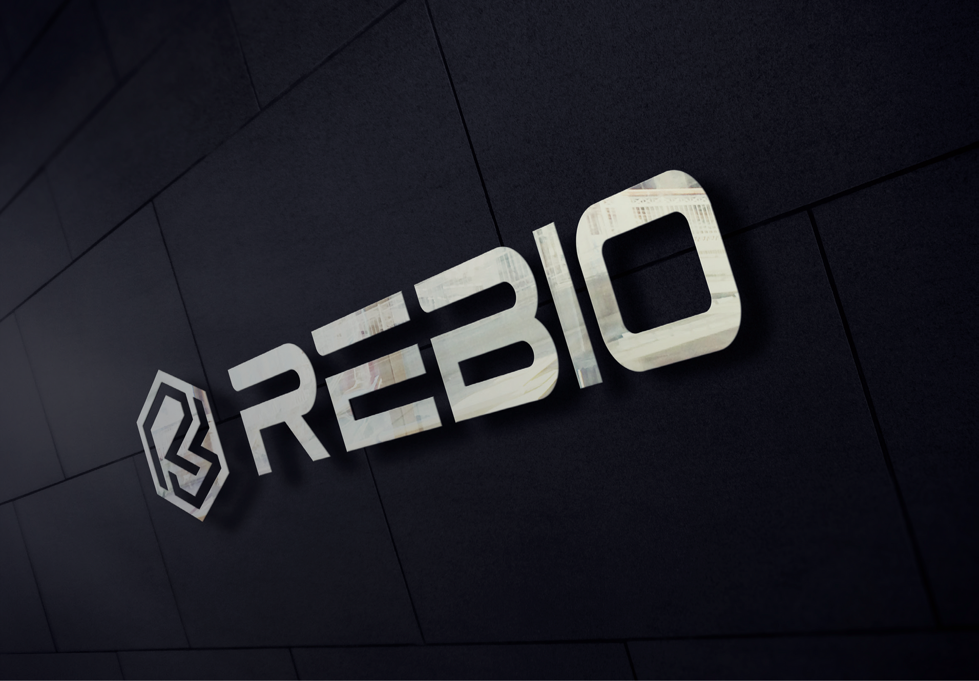 REBIO GROUP