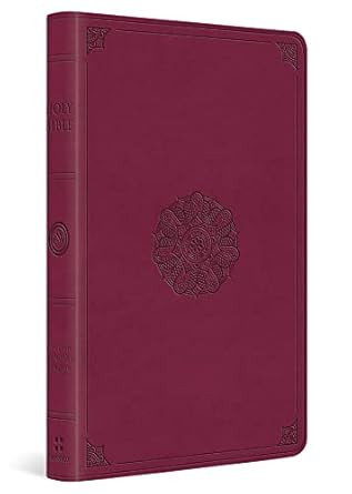 ESV PREMIUM GIFT 763 PINK TRUTONE 8 PT | Tecman
