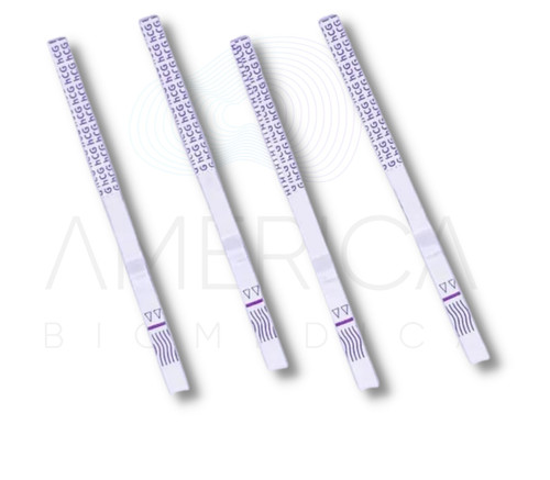 Gravidez hCG Teste Rápido | América Biomédica PT