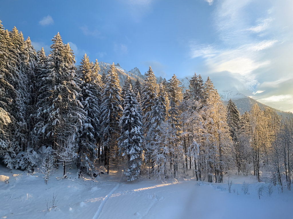 Happy New Year 2025! | Calliopé Studio