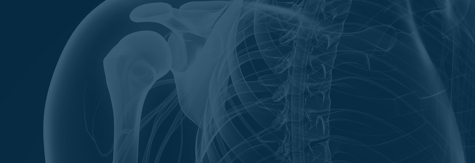 About The Shoulder | Arthritis & Sports