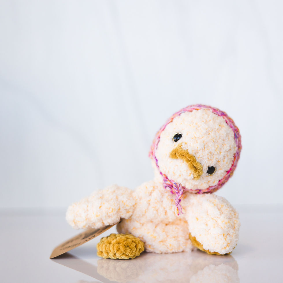 CMHS - Duck Yellow/Pink | Art Pop