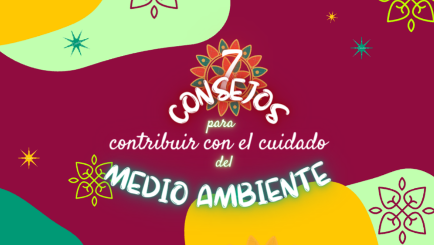 ¡No dejar rastro! 7 Consejos para contribuir con el medio ambiente ...