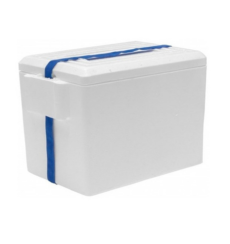 NEVERA DE ICOPOR 10 LITROS | My Site