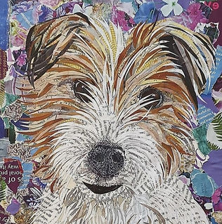 The DOG SHOW Brighton | Artists