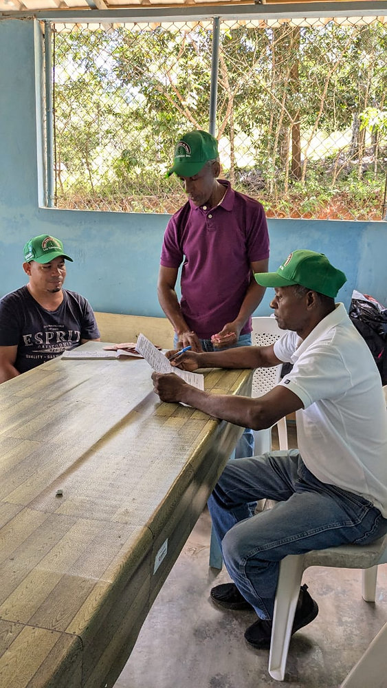 A New Record for Forest Credit, and Life in the Tree Economy