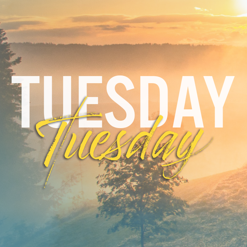 2025/11/23-27 | KYCC