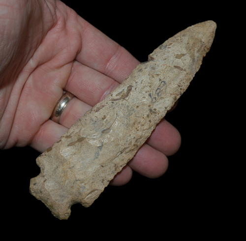 Large Hemphill Clay Co Missouri EB | authenticarrowheads