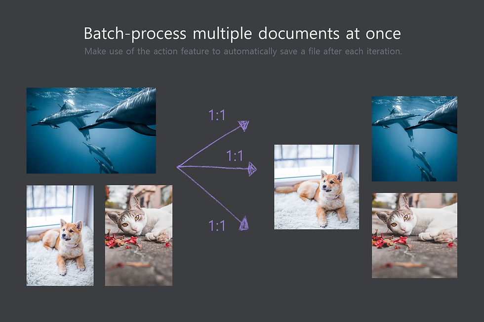 Ratio Switch - Format Change Kit | Henke Design