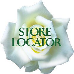 Fryer's Roses | Blue Diamond