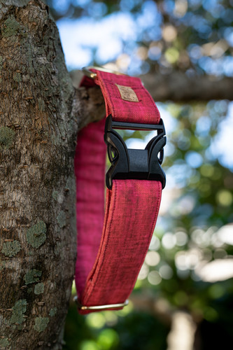 2023 Color of the Year Eco Canvas Collar | EthosCanineOutfitter