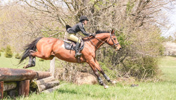 Welcome | hiddenlanefarm