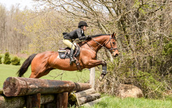 Welcome | hiddenlanefarm