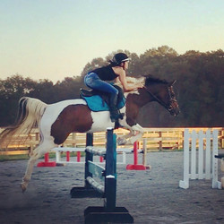 Welcome | hiddenlanefarm