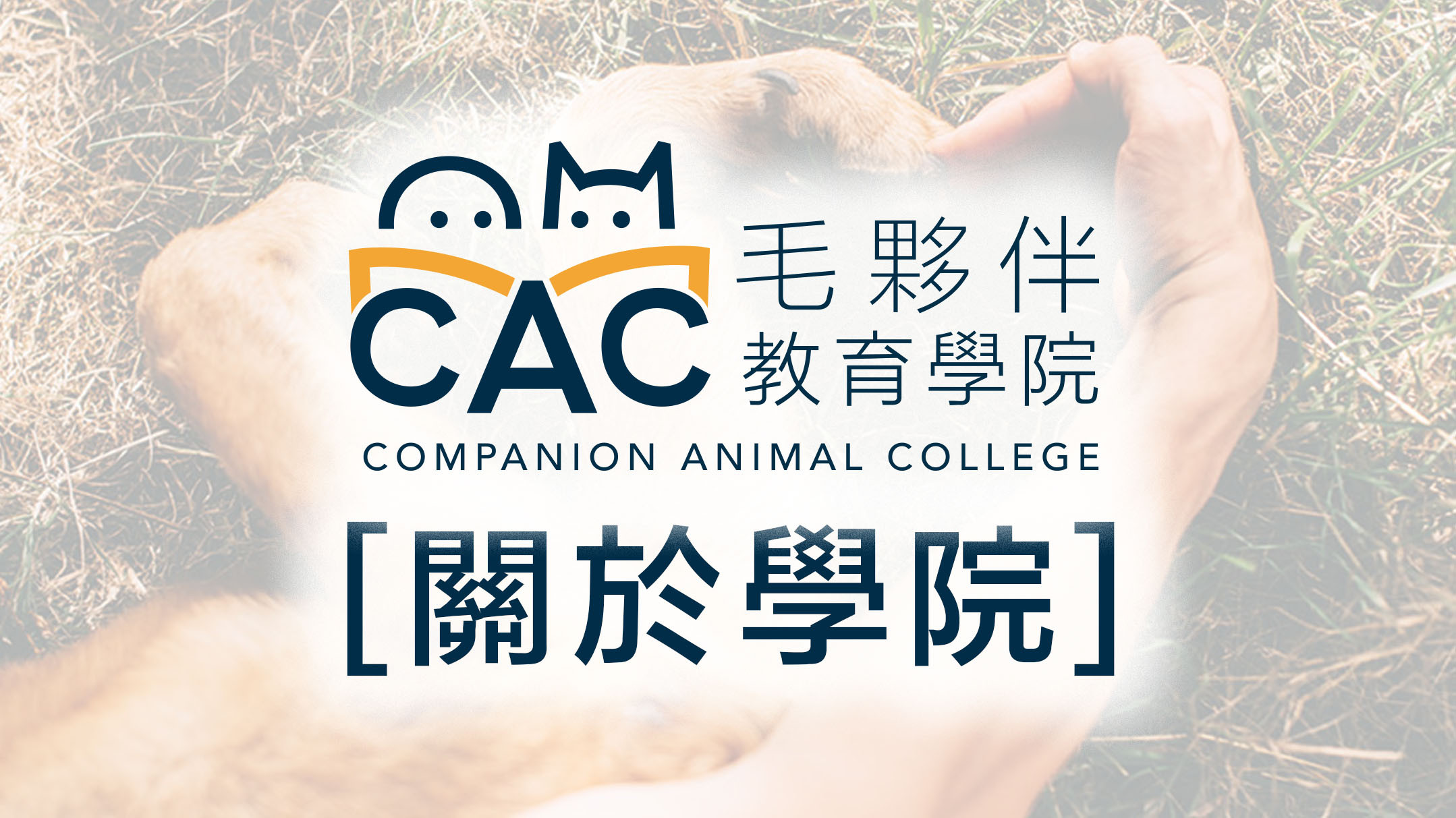 關於我們 | 毛夥伴教育學院 Companion Animal College