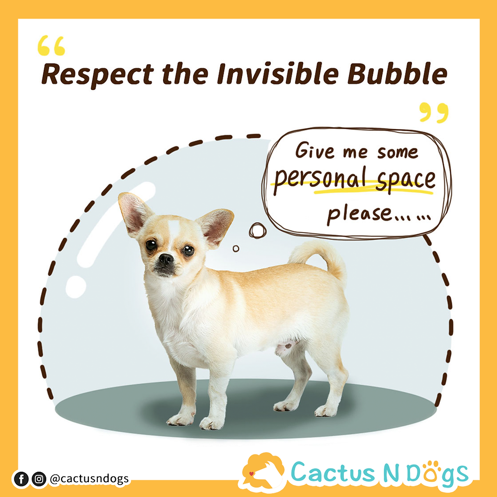 Respect the Invisible Bubble 狗狗也有社交距離！