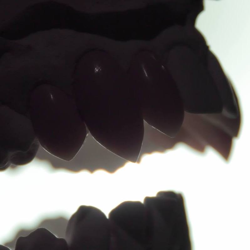 FangSmith | Custom Vampire Fangs | Australia