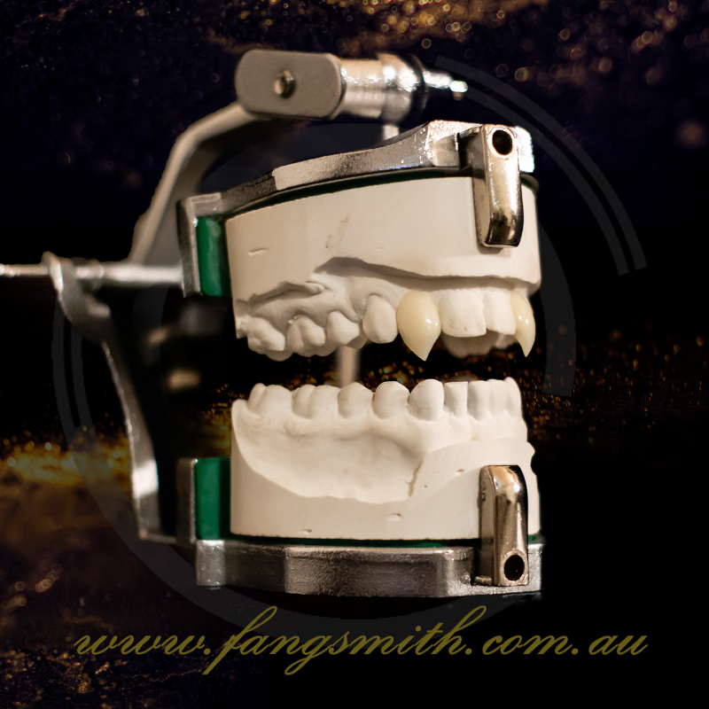 Dentists Back in Action!