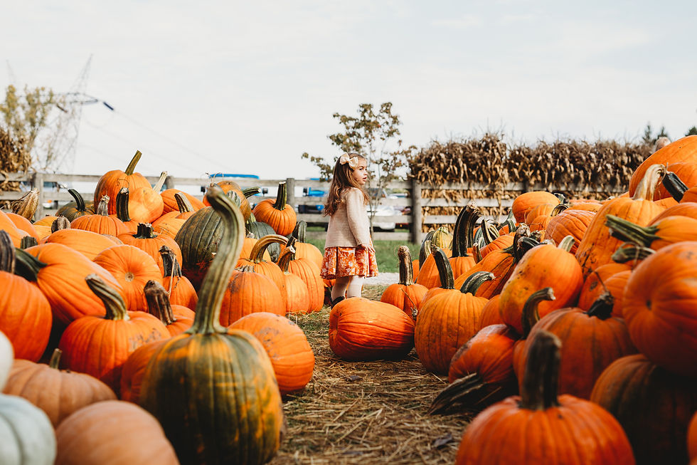 Historic Hawes Farms | Pumpkin Patch | Anderson, CA, USA