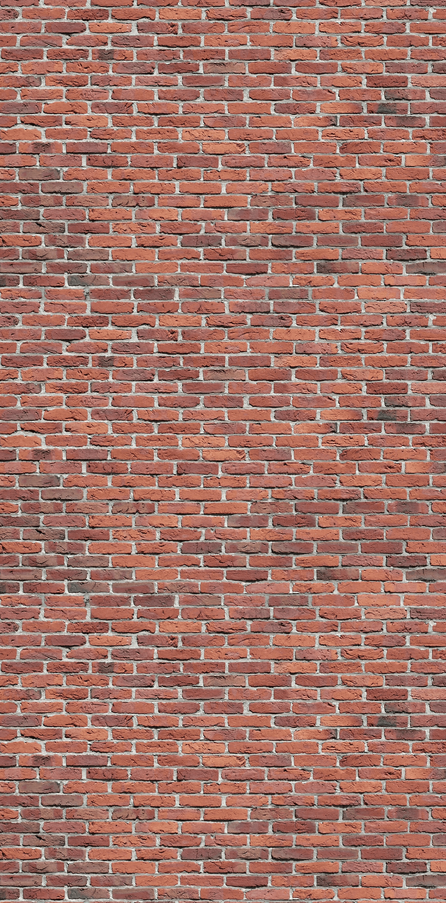 coloring pages of arizona cardinals carson palmer